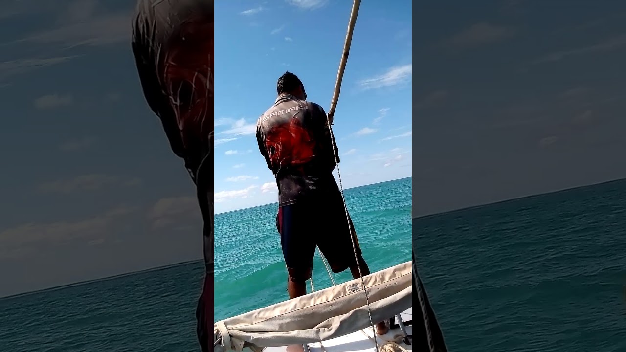 Dugong hunting , turtle hunting - YouTube