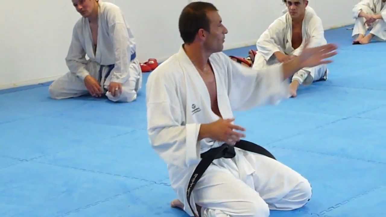 Entrainement de karaté avec Christophe PINNA en présence des ...