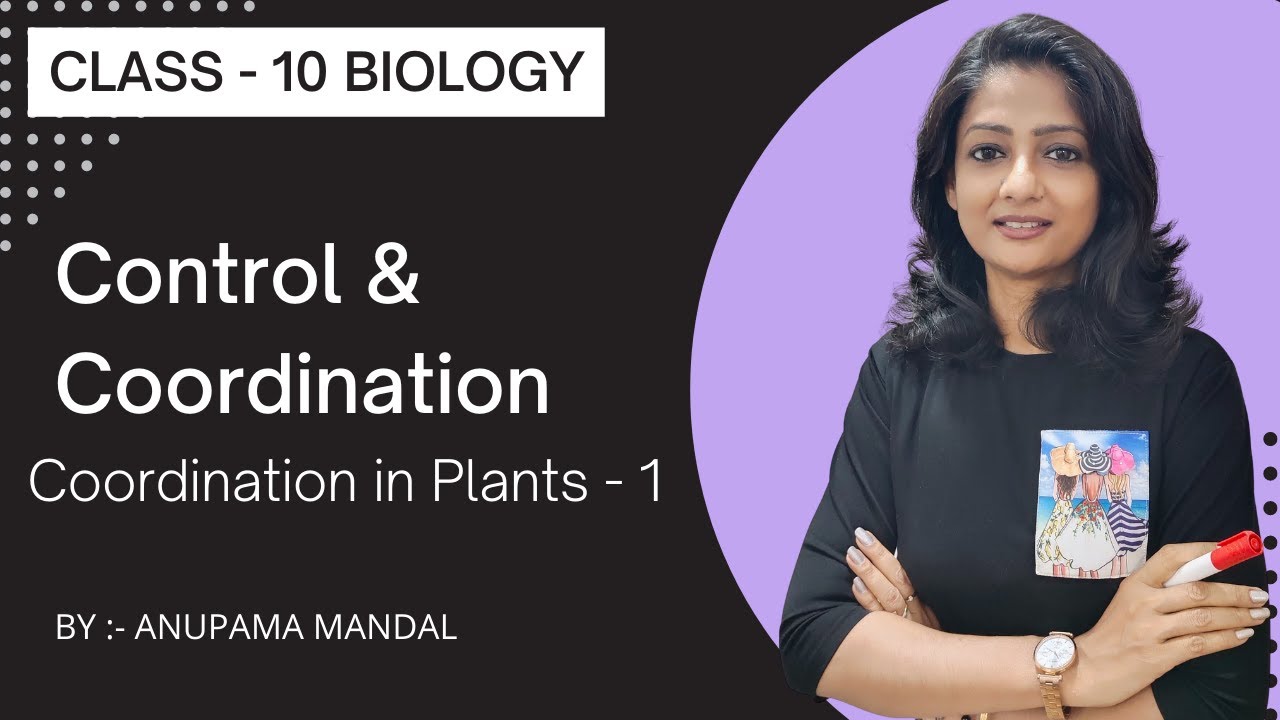 Coordination in Plants -1(Movement in Plants)| Control & coordination ...