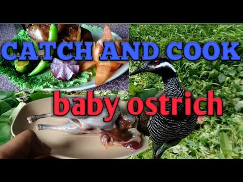 Catch and cook. Tikling - YouTube