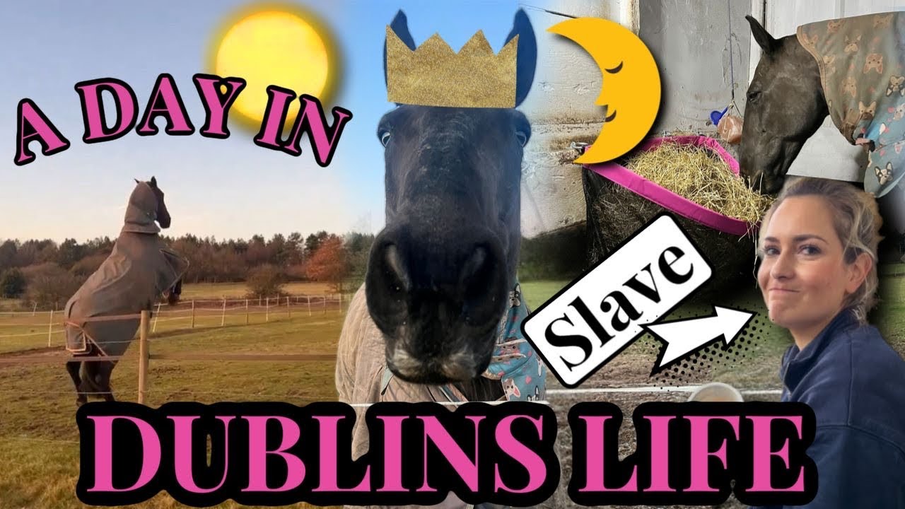 DUBLIN NARRATES HER DAY ~ Day in Dublins life || KATIELEWIS100 - YouTube