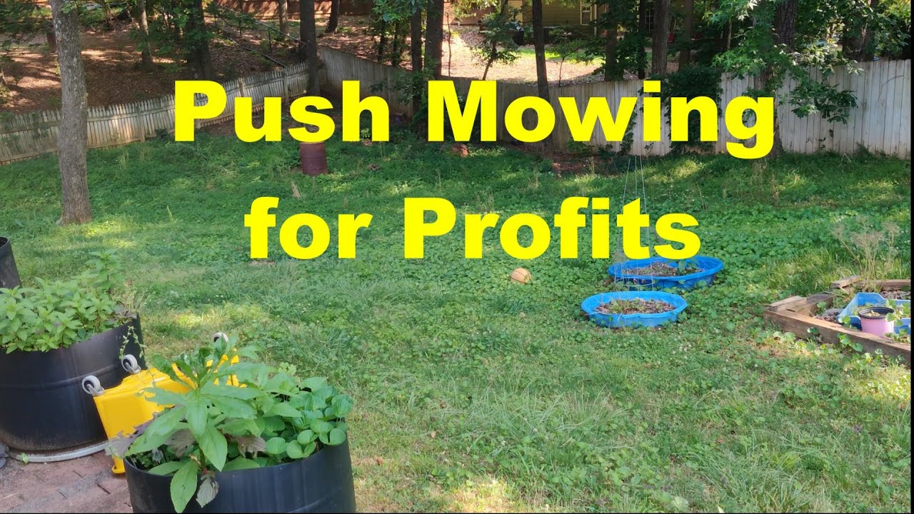 Backyard Mowing ( back to the basics) - YouTube
