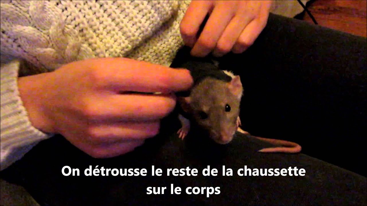 Le saucissonnage : une méthode parmi d'autres - YouTube