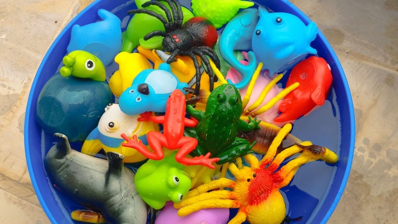 Learn Sea Animal l toys l animals toys l sea animals l Shark Video Toys ...