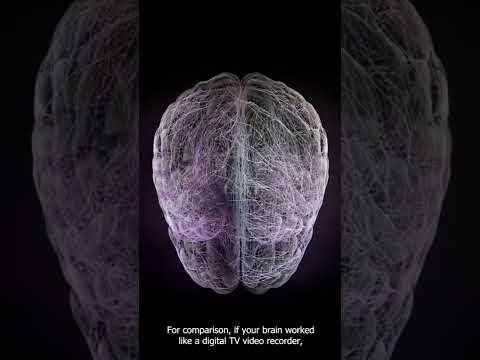 What Common Household Toxin Triggers Memory Loss