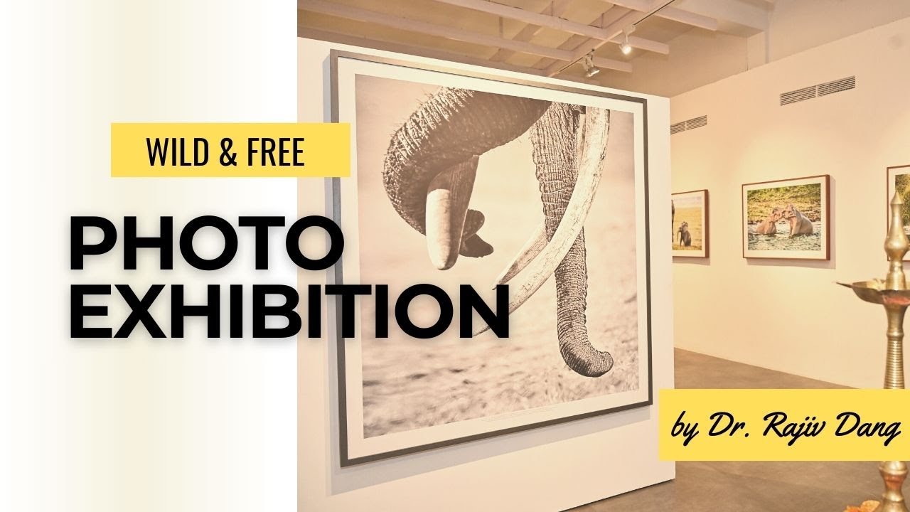 Photo Exhibition Cinematic Teaser video - YouTube