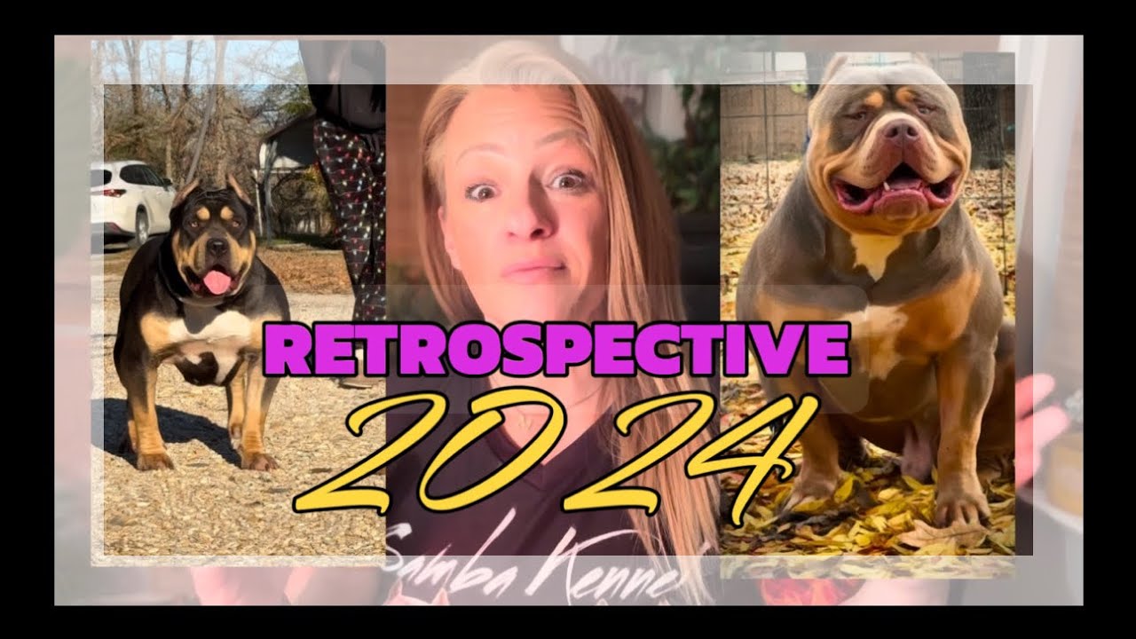 2024 Highlights: Epic Wins and New Legends at SAMBA Kennels! - YouTube