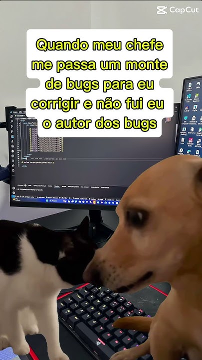 Memes Codingbr Programming Programmer Youtube 6853