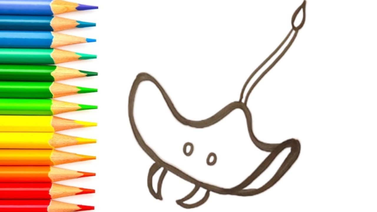 how to draw a stingray/stingray drawing and colouring for kids and ...