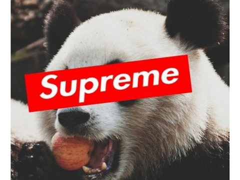 Supreme Panda Live Stream - YouTube