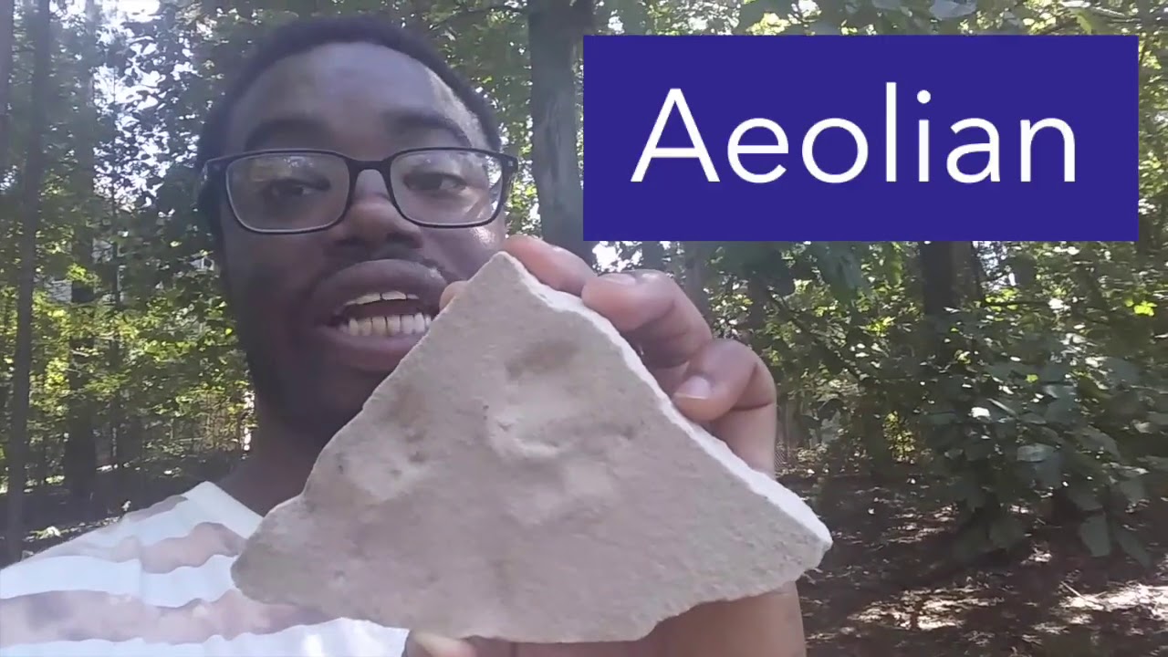 Discovery Day: National Fossil Day -- Permian Fossils w/Avocational ...