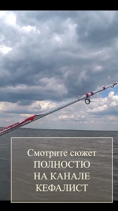 Спиннинг для рыбалки на кефаль: фидер, ультралайт. Как выбрать удилище ...