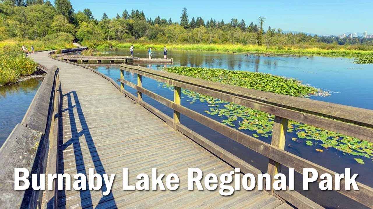 Burnaby Lake Regional Park 4k - YouTube