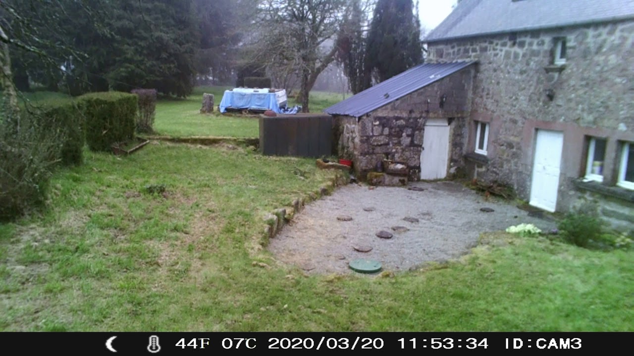 7 Month Test APEMAN H45 12MP 1080P Trail Wildlife Camera Pictures Only ...