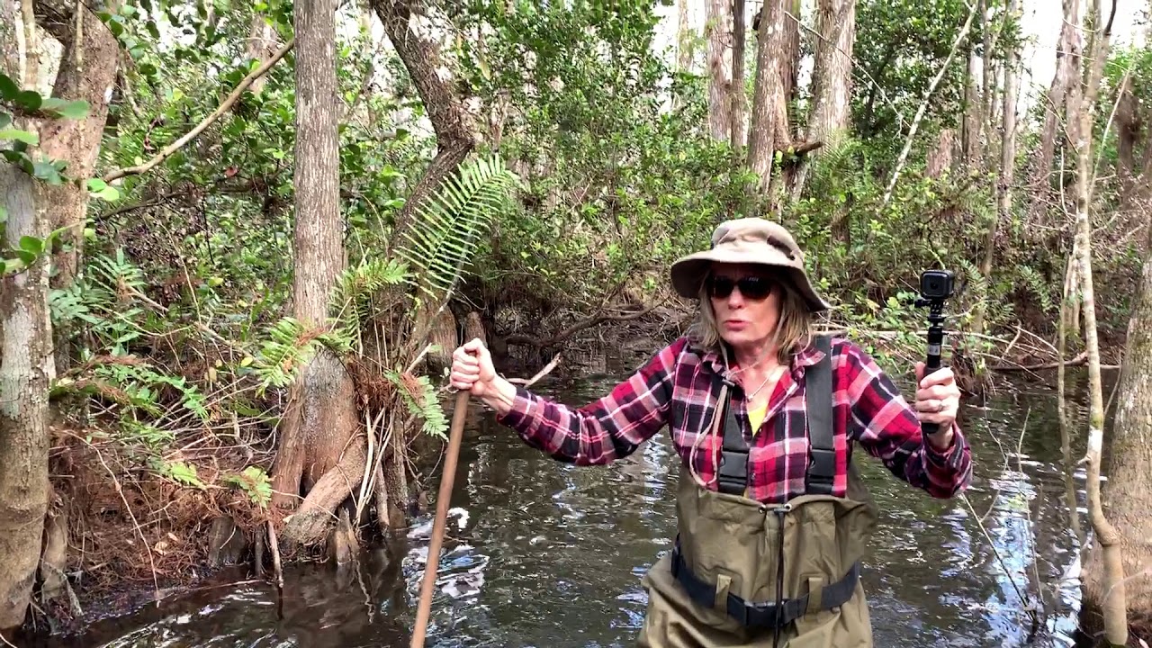 Up to Our Rears in Fears in the Florida Swamp - YouTube