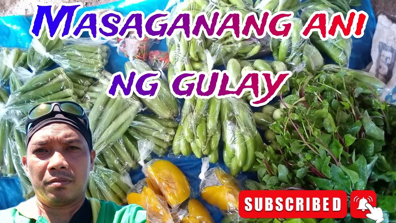 Masaganang Ani ng Gulay |@ARGEMTV - YouTube