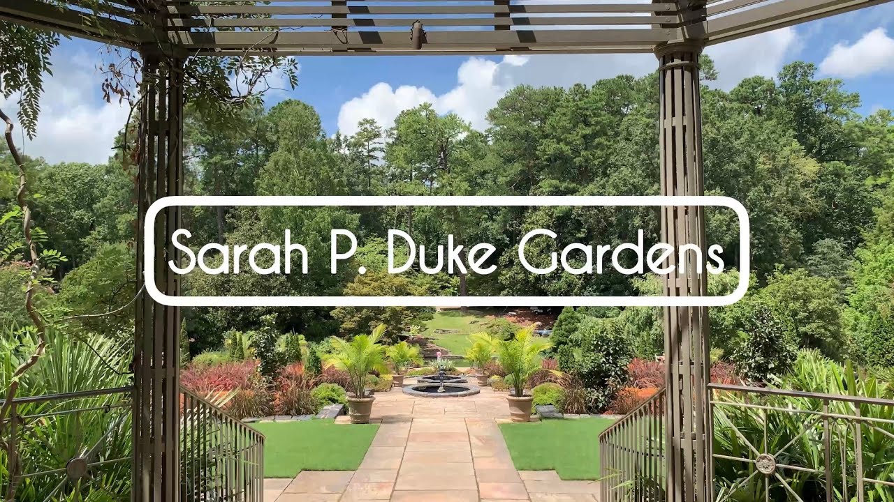 Sarah P. Duke Gardens Walkthrough | VLOG - YouTube