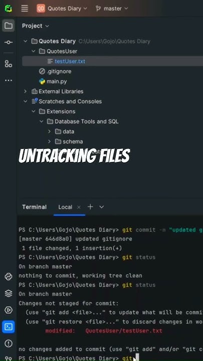 Un Tracking Files In Git Version Control Python Git Version Programming Begginers Coding