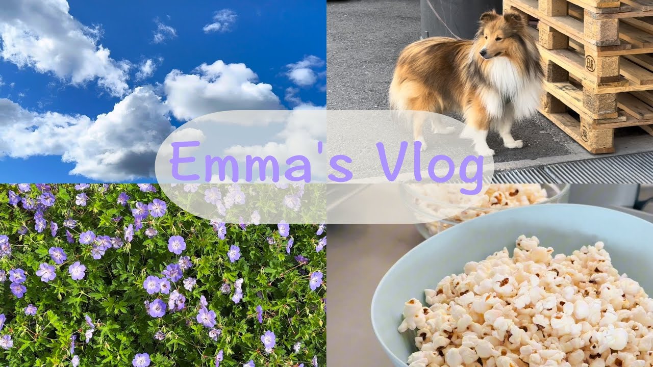 Vlog 72 Recent life updates | Supermarket shopping day | Watching ...