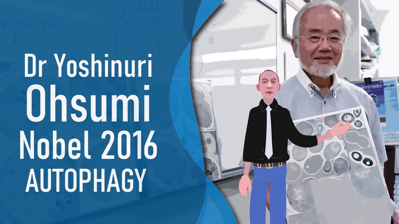 Prof Dr Yoshinori Ohsumi, Menang Nobel 2016, Autophagy | Healing ...
