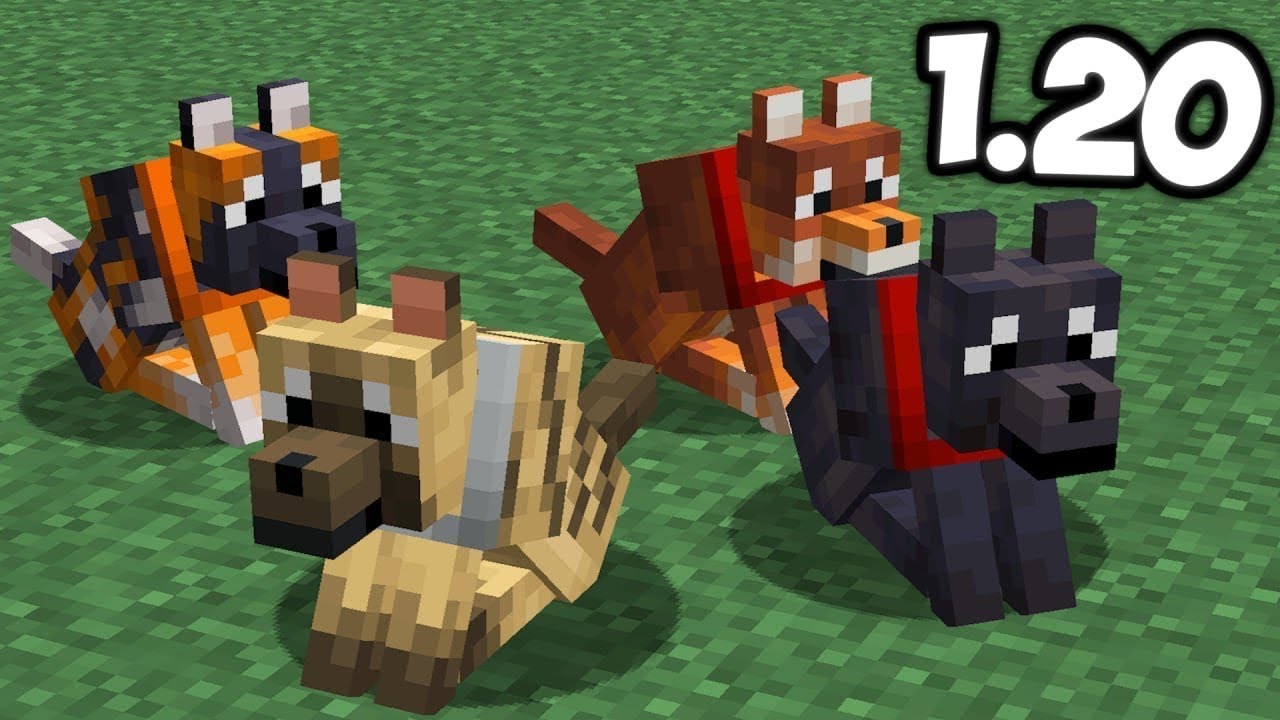 DOG BREEDS in MINECRAFT 1.21 / Snapshot 24w10a - YouTube