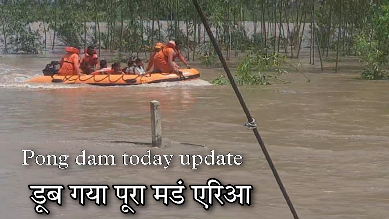 pong dam water level || pong dam today update || पानी मैं फंसे लोगों को बचा रही है NDRF की टीम ...