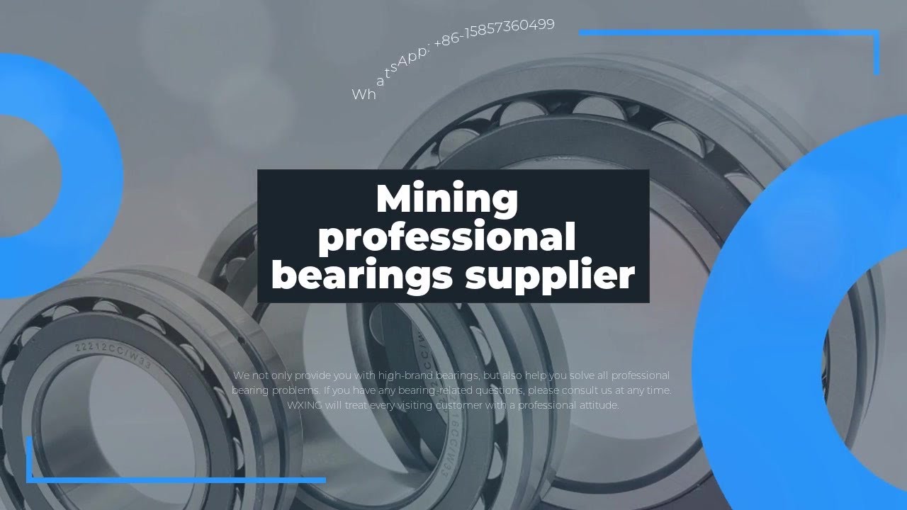 Top 16 Quality Mining professional bearings Roller Bearings ...
