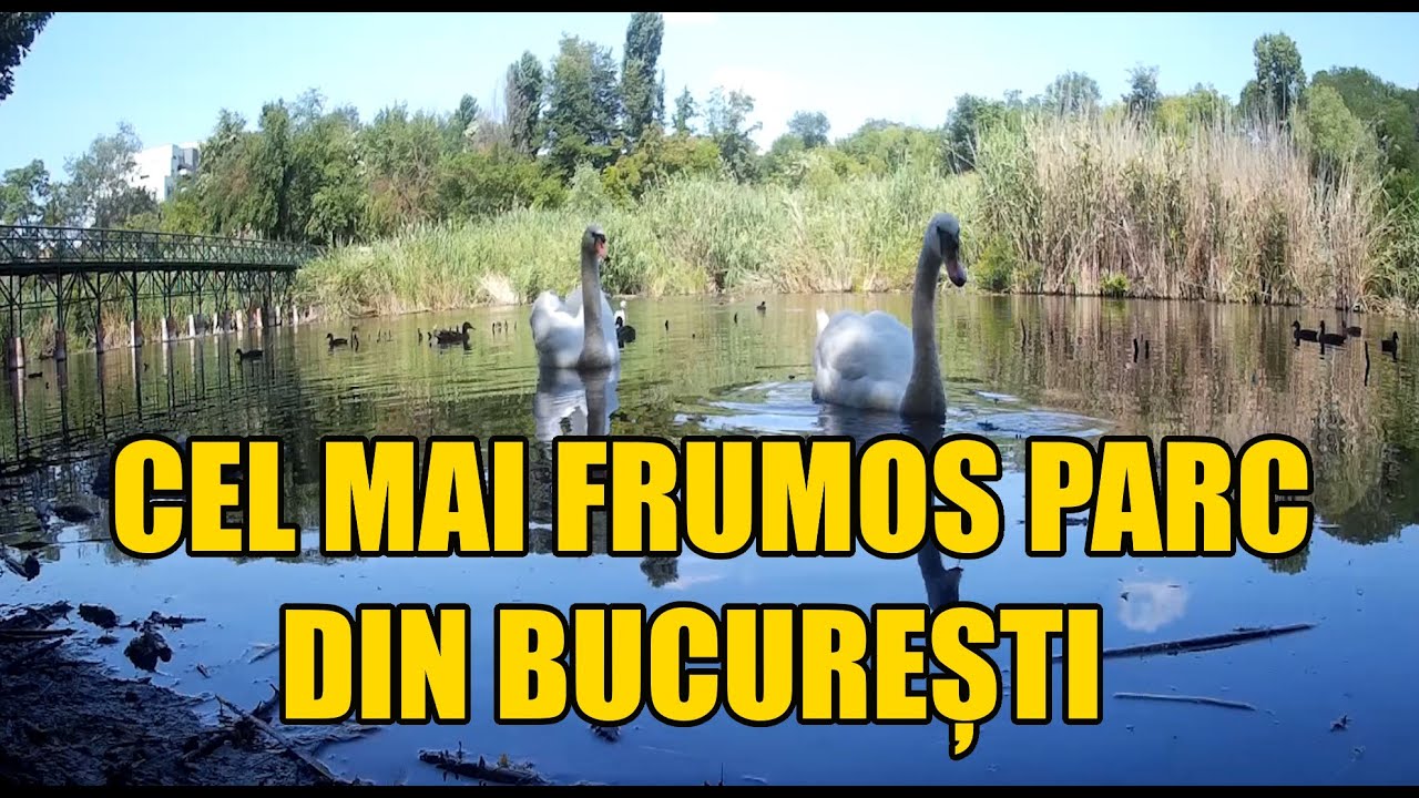 Cel mai frumos parc din Bucuresti - YouTube