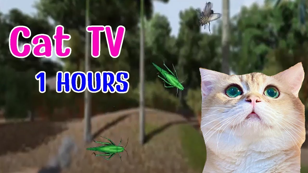 CAT GAMES l Game for cats Mix 3 Grasshopper fly | CAT TV | 1hours #cat ...