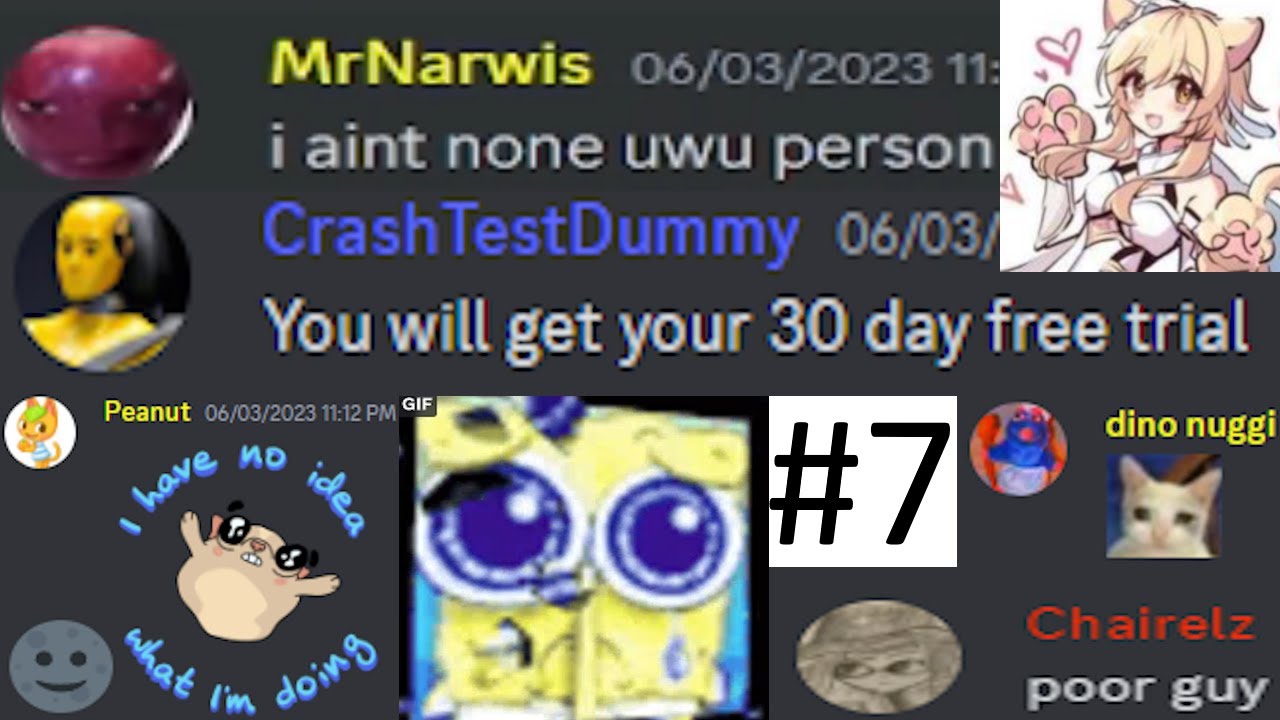 random discord chaos #7 (Profile Pictures) - YouTube