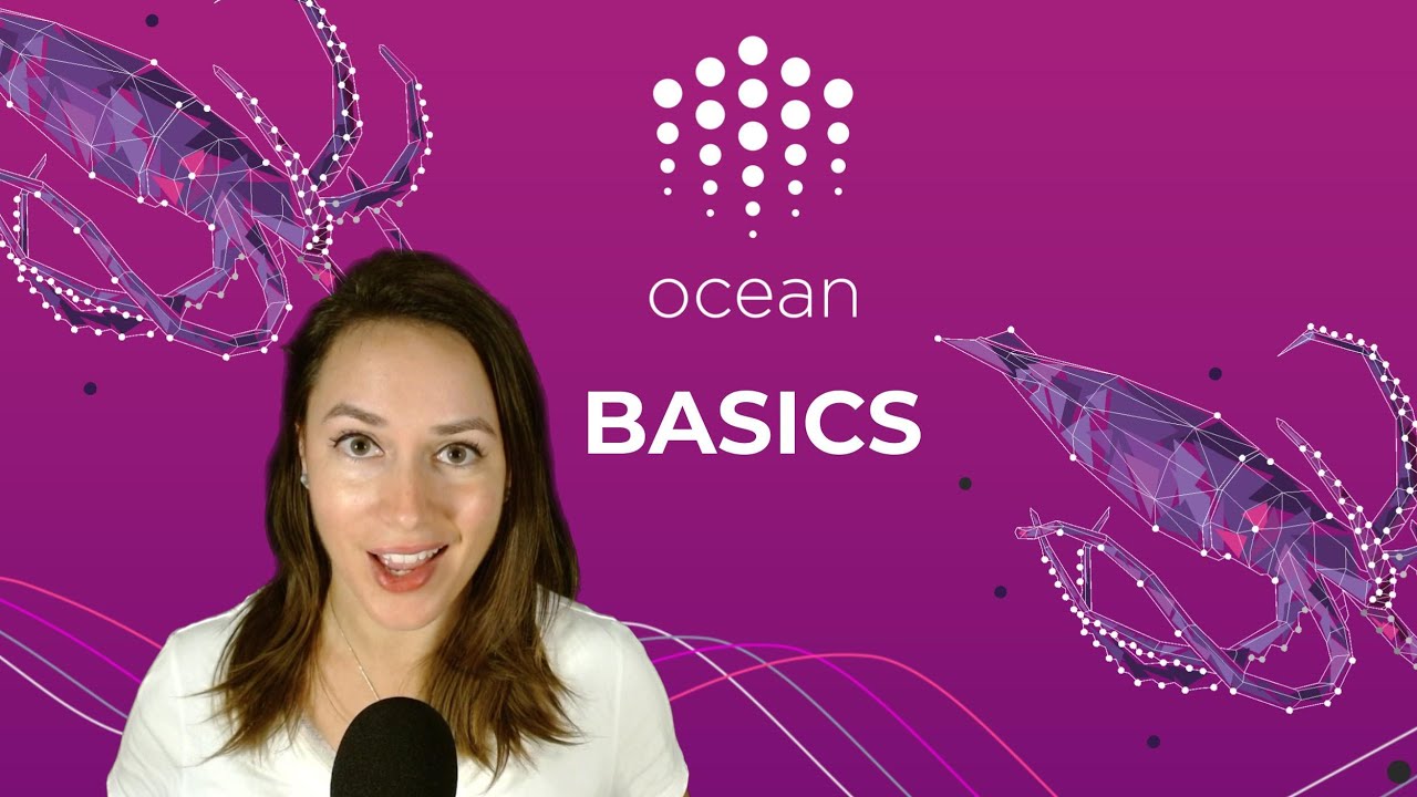 Ocean Basics - YouTube
