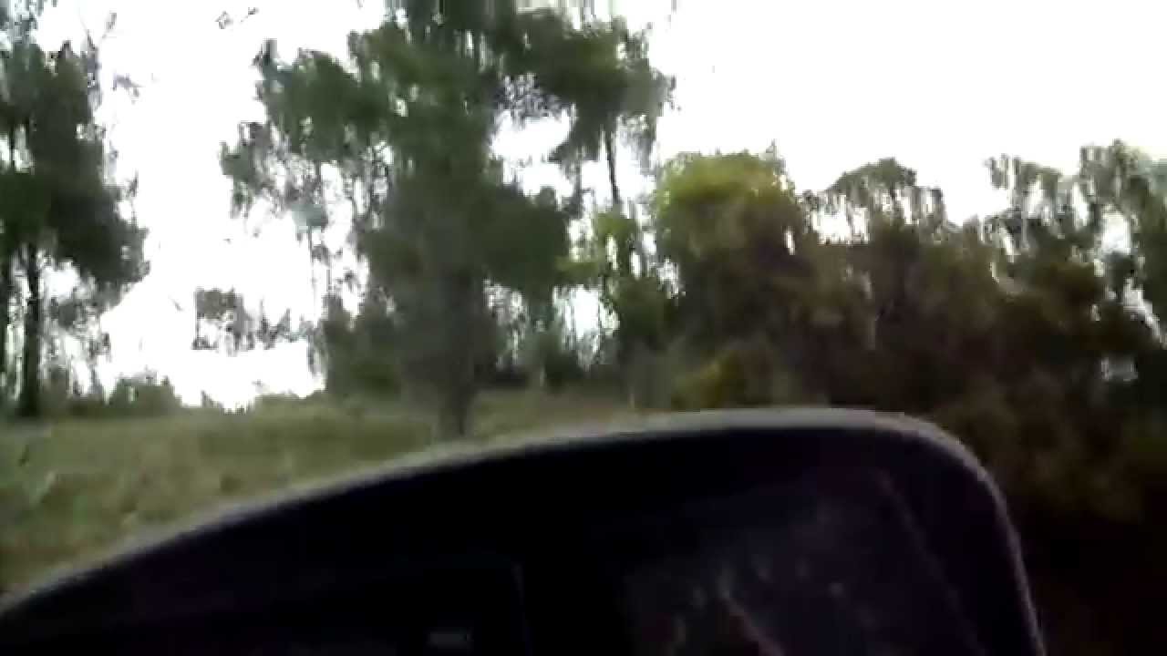 Honda nx125 easy rider - YouTube