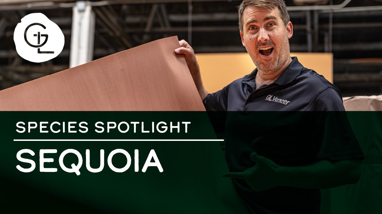 Sequoia Wood Veneer Sheets - YouTube