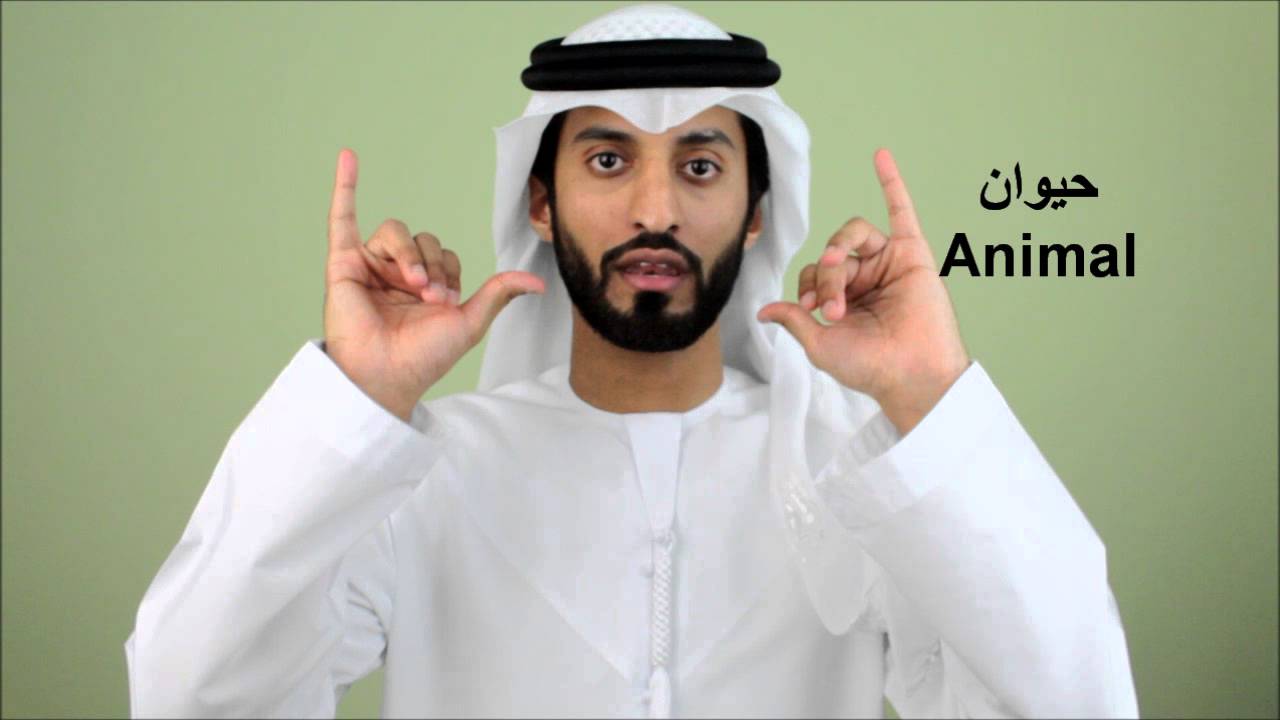 Emirati Sign Language - 30 - YouTube