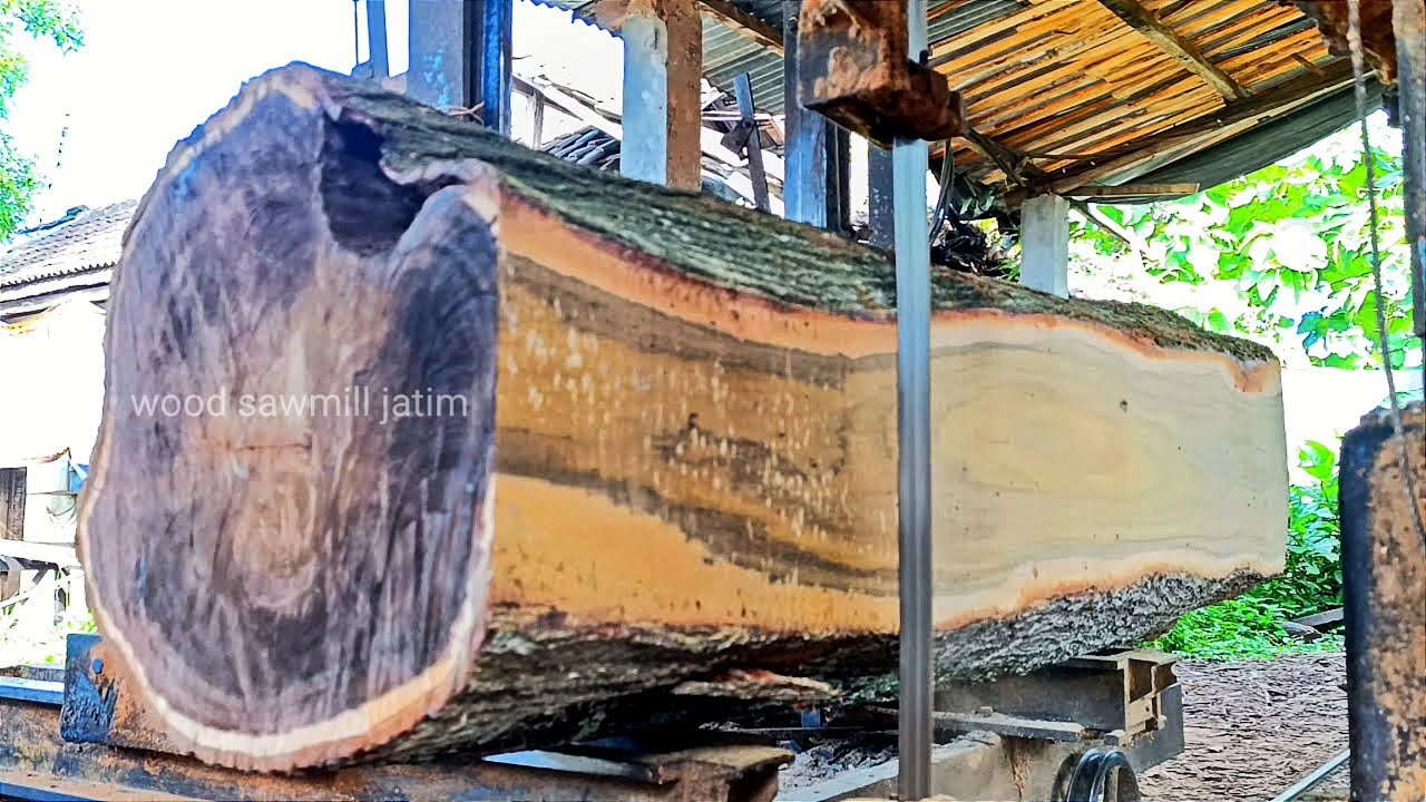 process of making a super hard and good giant acacia wood board - YouTube