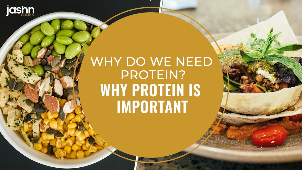 Why Do We Need Protein? Why Protein Is Important? - YouTube