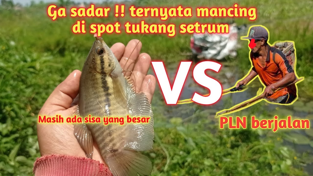 Mancing di spot tukang setrum‼️bikin kami gagal panen - YouTube