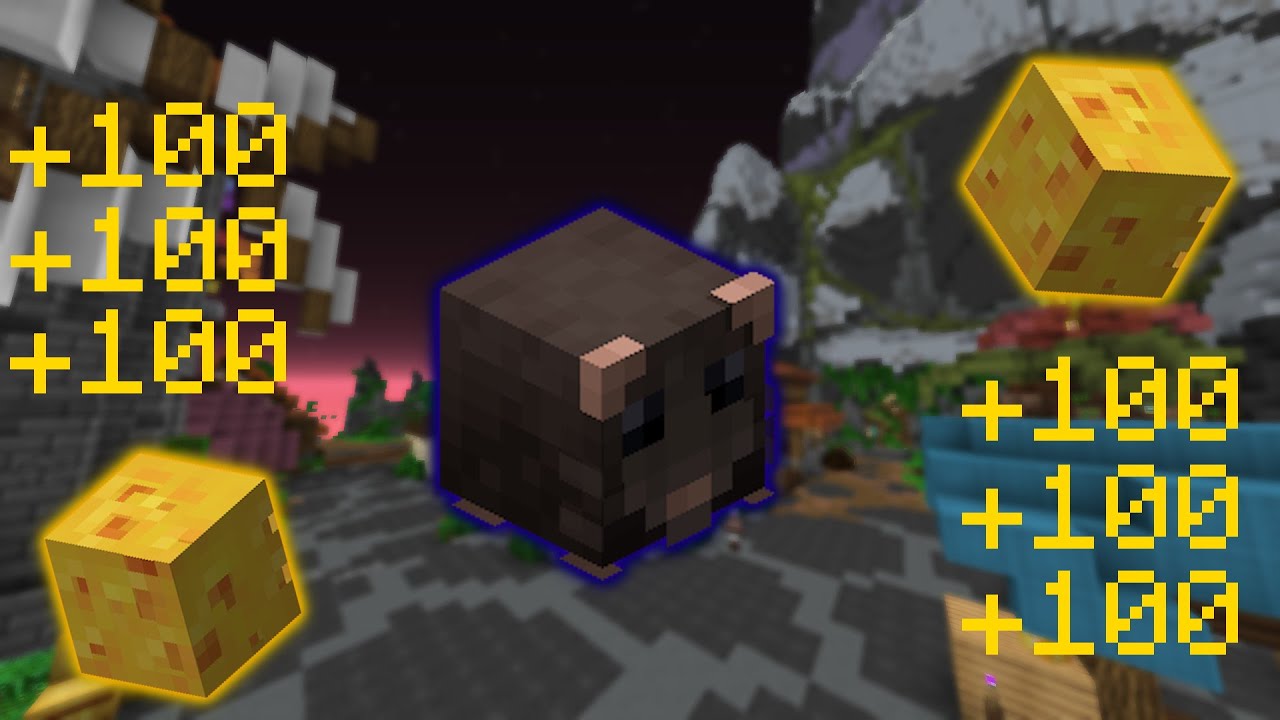 All rat locations and route - Hypixel skyblock - YouTube