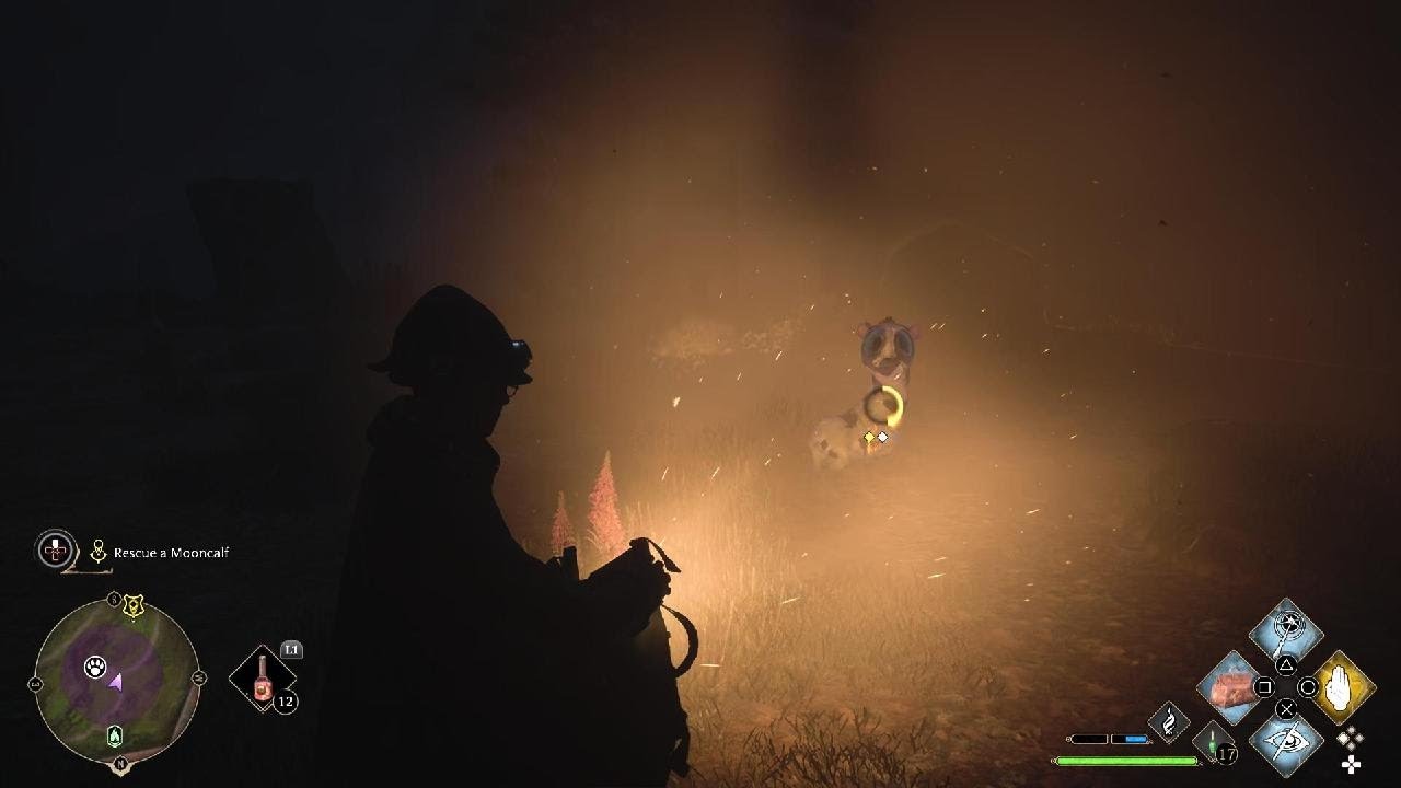 Mooncalf caught in the headlights 😂 - YouTube