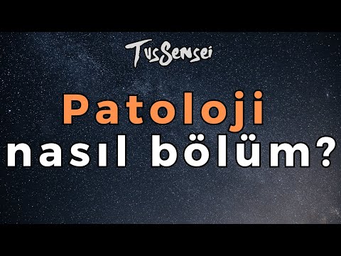 Patoloji nasıl bir bölüm?