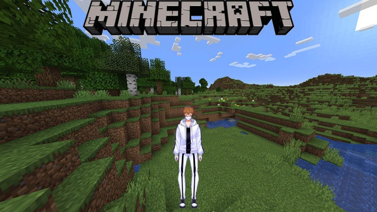 [minecraft] chat peer pressured me into minecraft so here we are ...