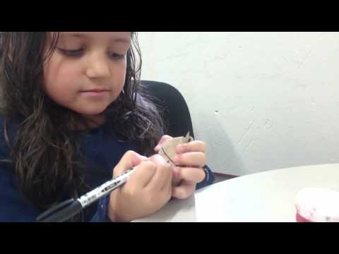 Bogotanita, Isabella Aponte - YouTube