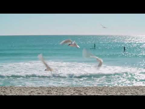 يا قاضي الحاجات - Ya Qadya Alhajat || حسن حمدو