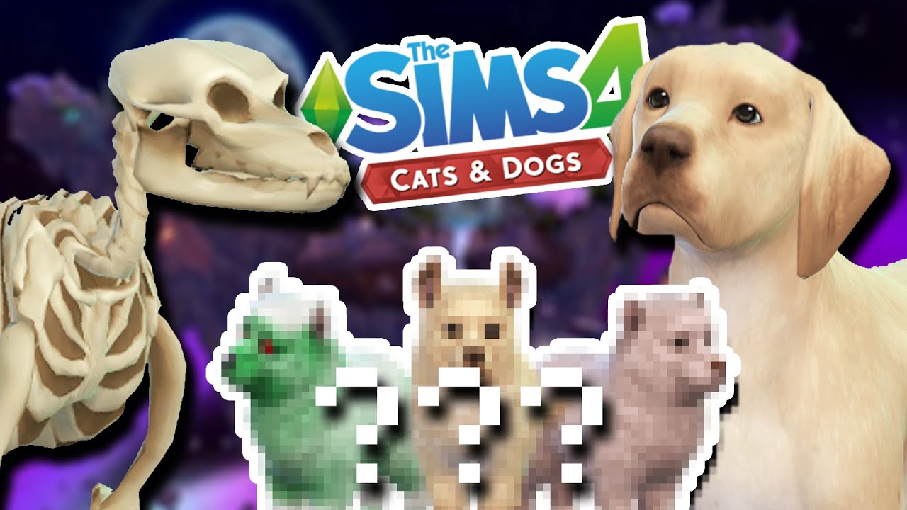 A Litter of SKELETON & Labrador Puppies?! 💀💕🐶 - YouTube