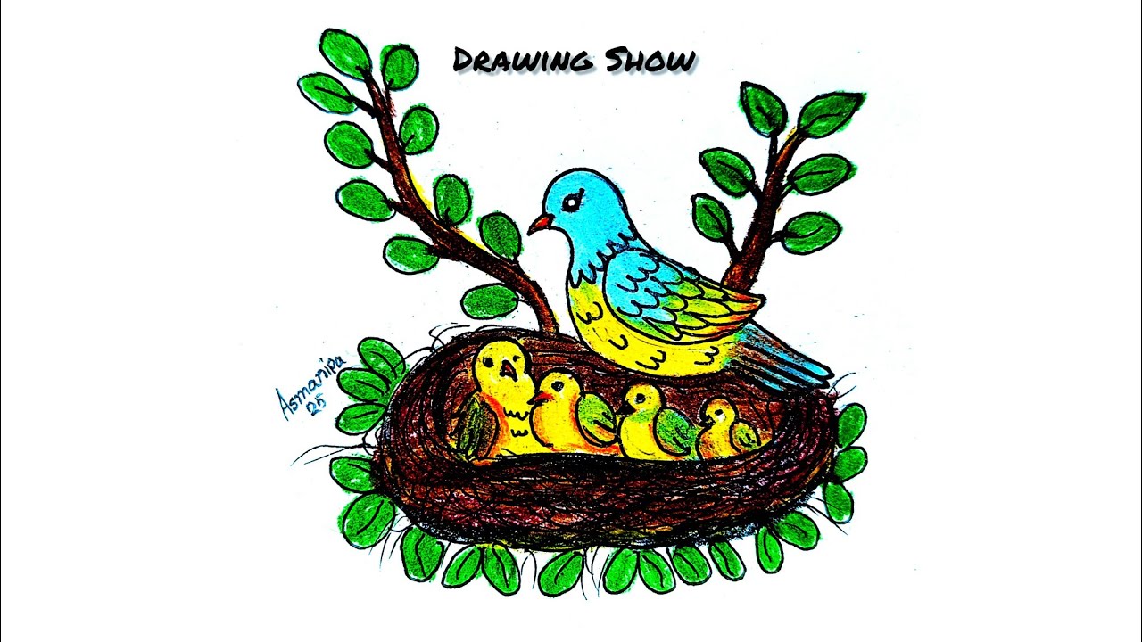 How to draw bird nest step by step || Bird nest drawing easy for ...
