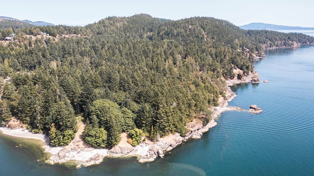 Tree Protection and the Islands Trust - YouTube