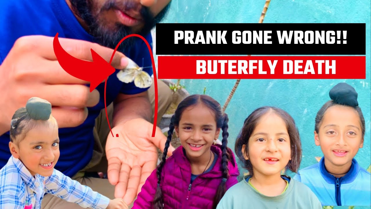 PRANK GONE WRONG😭| 🦋Butterfly Death | Gurnams Dingnot - YouTube