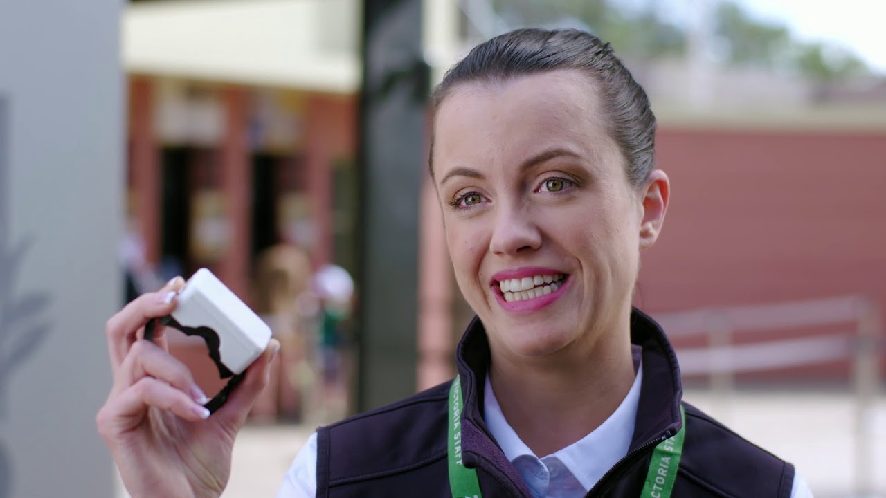 Introducing Cat VR - the next big thing for cats - YouTube