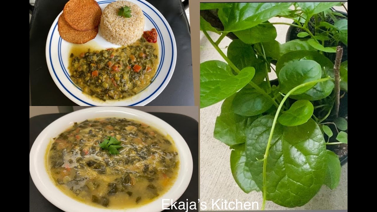 Poi Leaves Sambar Which Was Grown In Pot | Basalesoppina Saru | Malabar ...