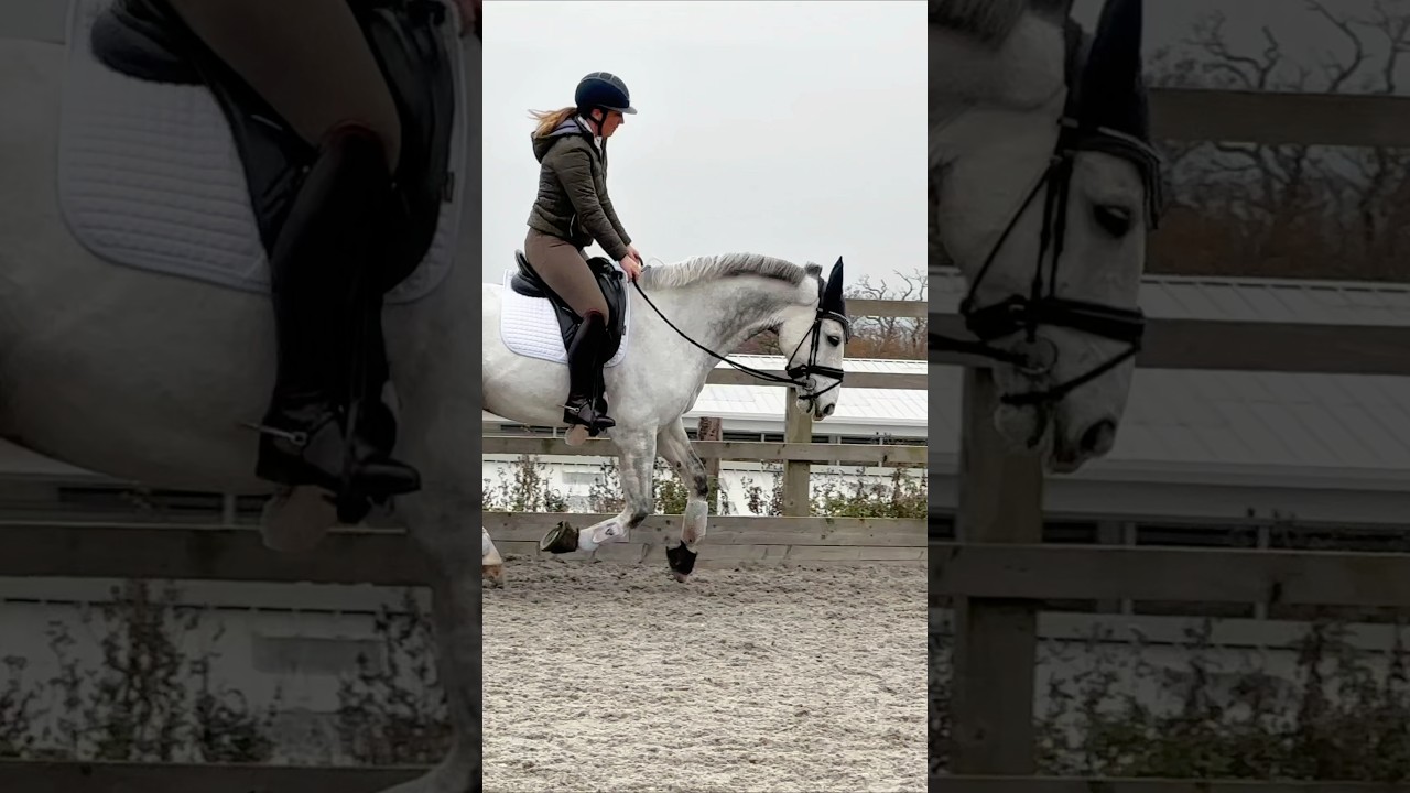 🎥Tonight at 7pm GMT - Training for Elementary level has begun! - YouTube